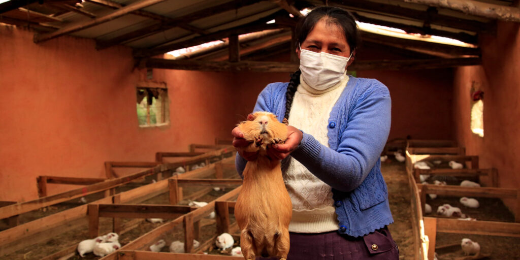 Inca Trail Treks to Machu Picchu - Orange Nation Peru